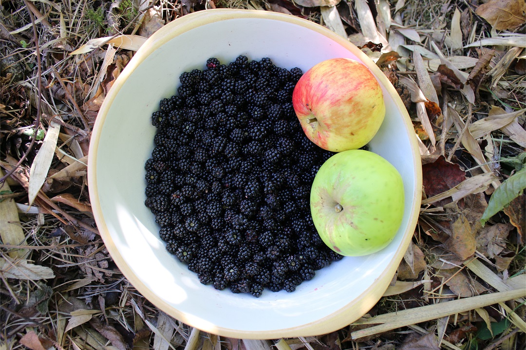 GET BACK TO NATURE WITH AUTUMNAL FORAGING - True Health magazine